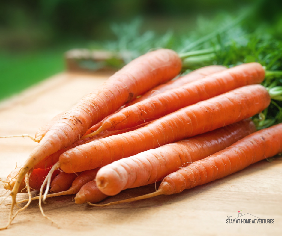 How To Grow Carrot Indoors (plus the benefits of growing carrots!)