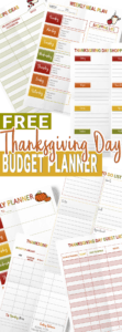 Free Thanksgiving Day Planner * My Stay At Home Adventures