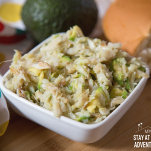 Puerto Rican Gazpacho Recipe * My Stay At Home Adventures