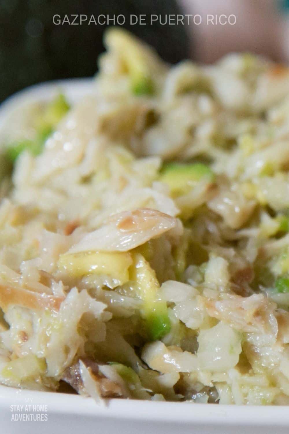 Puerto Rican Gazpacho Recipe * My Stay At Home Adventures