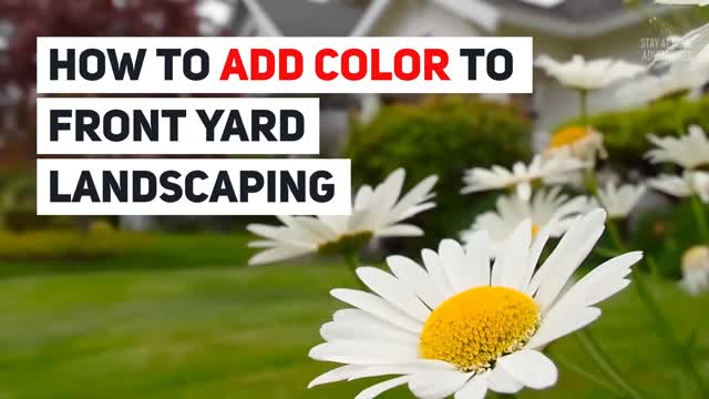 How to Add Color to Front Yard Landscaping (No Experts Required)