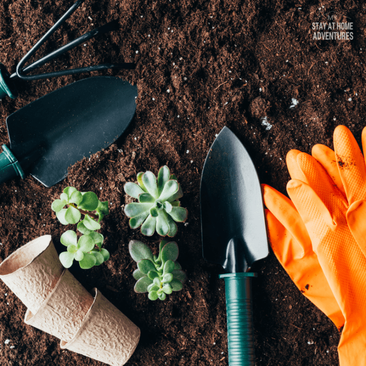 DIY Garden Soil (A Beginner's Guide to Making Garden Soil)