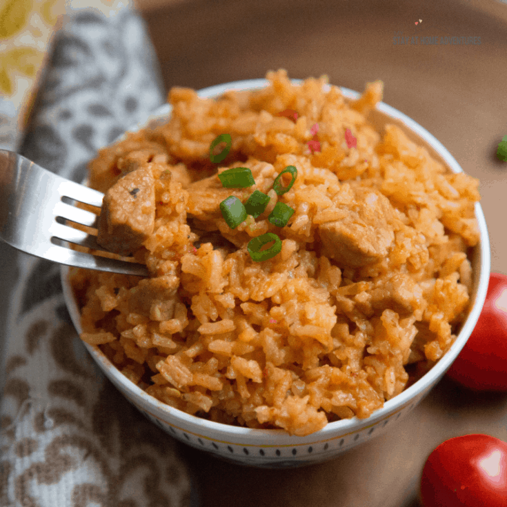 Puerto Rican Rice and Pork Instant Pot * My Stay At Home Adventures