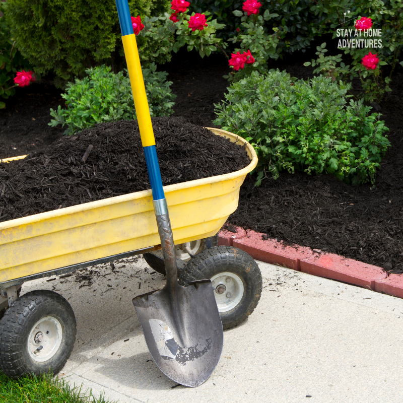 10 Ways to Spring Clean Your Outdoor Space (To Get The Perfect Look)