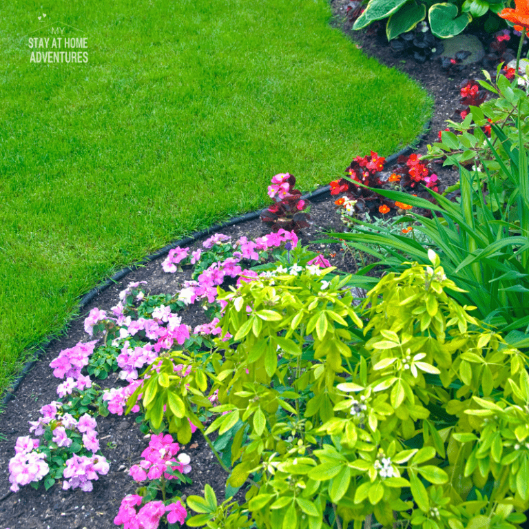 7 Tips to Help You Landscape Your Front Yard This Season