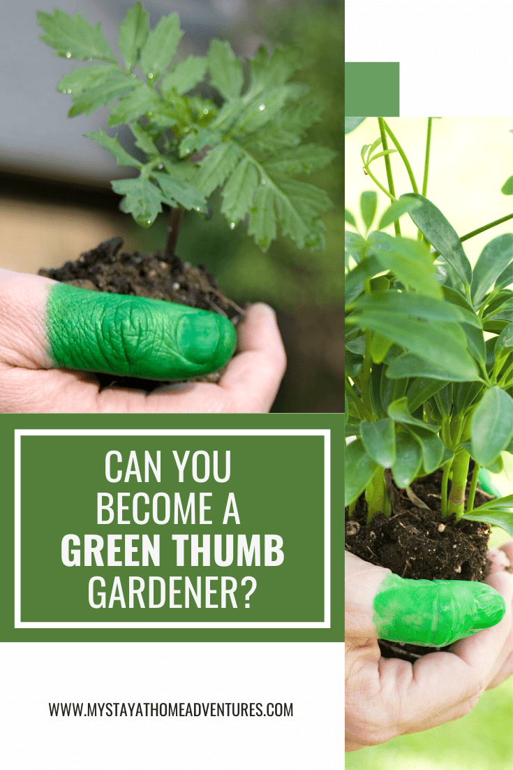 4 Tips to Turn Your Black Thumb Green ( Than Anyone Can Do!)
