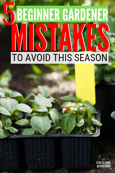 5 Beginner Gardener Mistakes To Avoid This Season 5 Beginner Gardener Mistakes To Avoid This Season