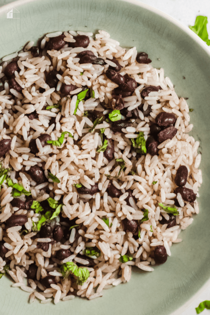 Easy to Make Gallo Pinto (Freezer-Friendly Recipe)