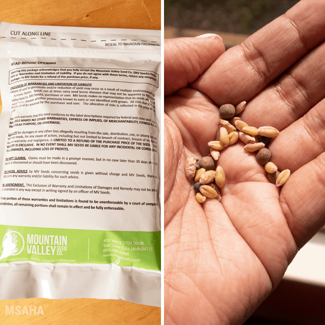 Benefits of Using Garden Cover Crop Seeds In Your Home Garden