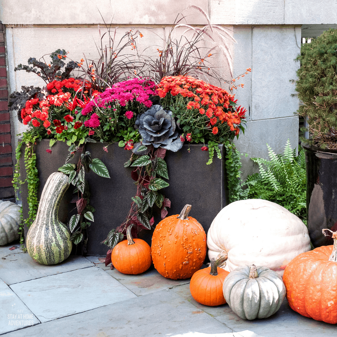 5 Simple Fall Landscaping Ideas to Wow Your Neighbors