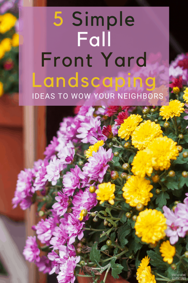 5 Simple Fall Landscaping Ideas to Wow Your Neighbors