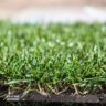 How to Care for New Sod: A Beginner's Guide