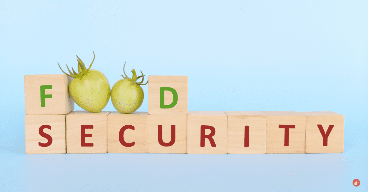 How Can You Create Food Security in Your Home?