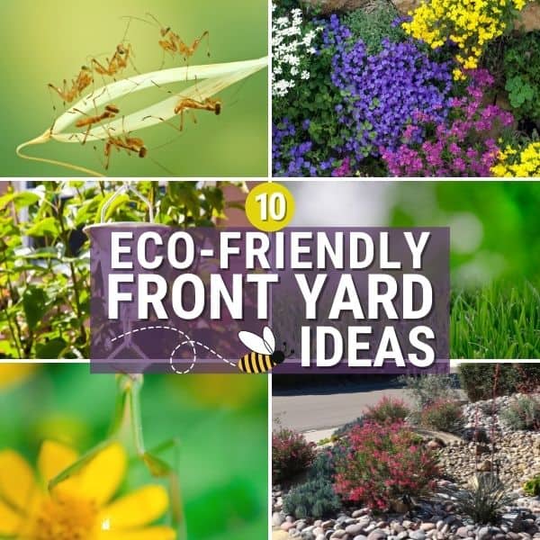 10 Front Yard Landscaping Ideas for the Eco-Friendly Homeowner