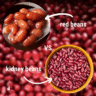 Red Beans vs Kidney Beans: Unraveling the Bean Battle Plus 15 ...