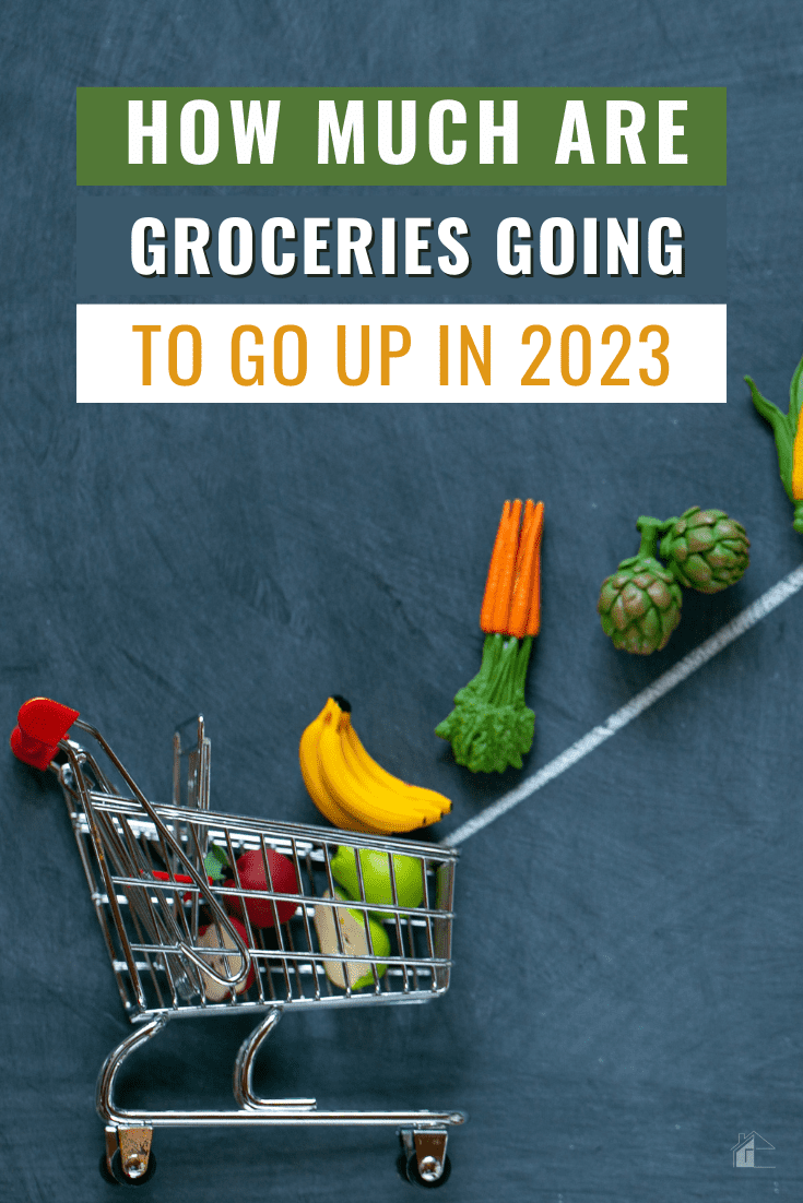 How Much Are Groceries Going To Go Up?
