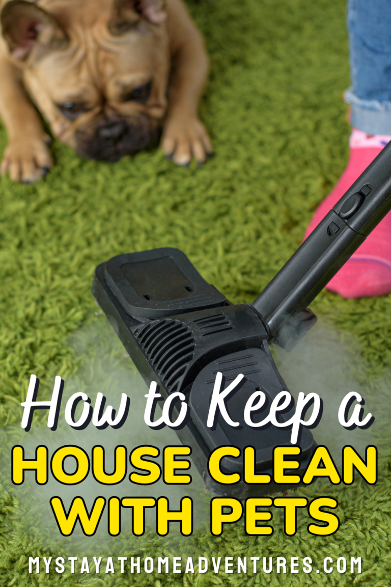 How to Keep a House Clean with Pets * My Stay At Home Adventures