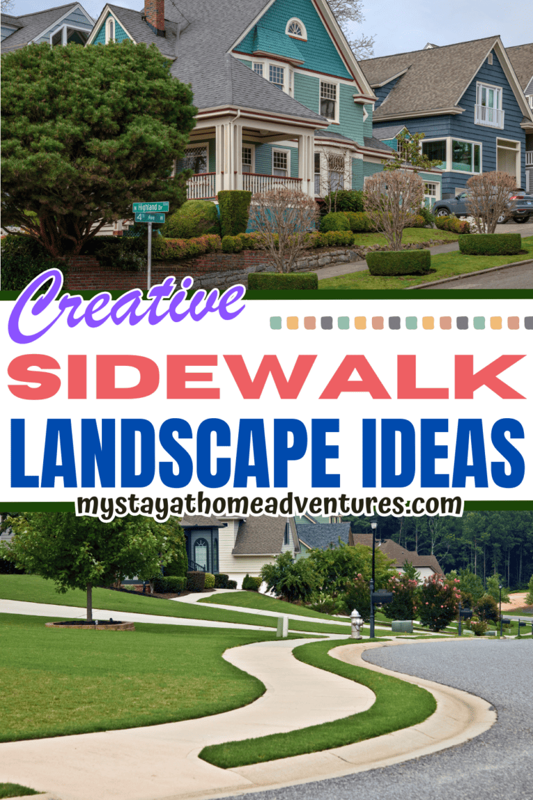 Sidewalk Landscape Ideas * My Stay At Home Adventures