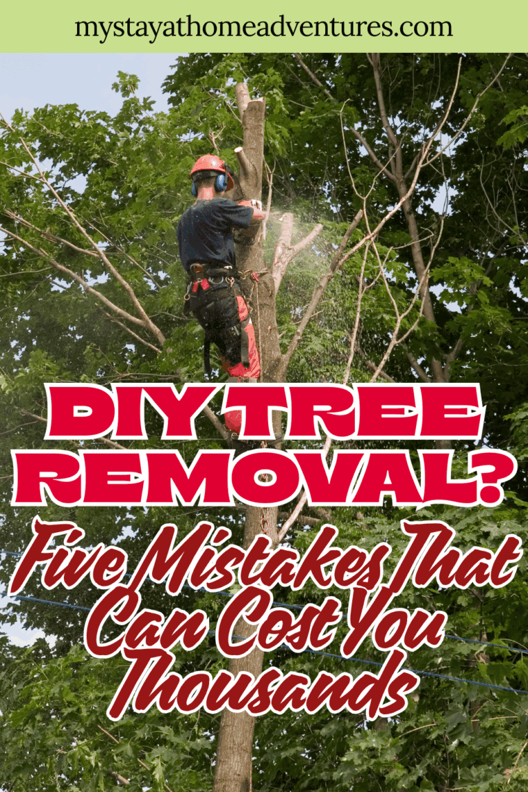 DIY Tree Removal? Five Mistakes That Can Cost You Thousands * My Stay ...