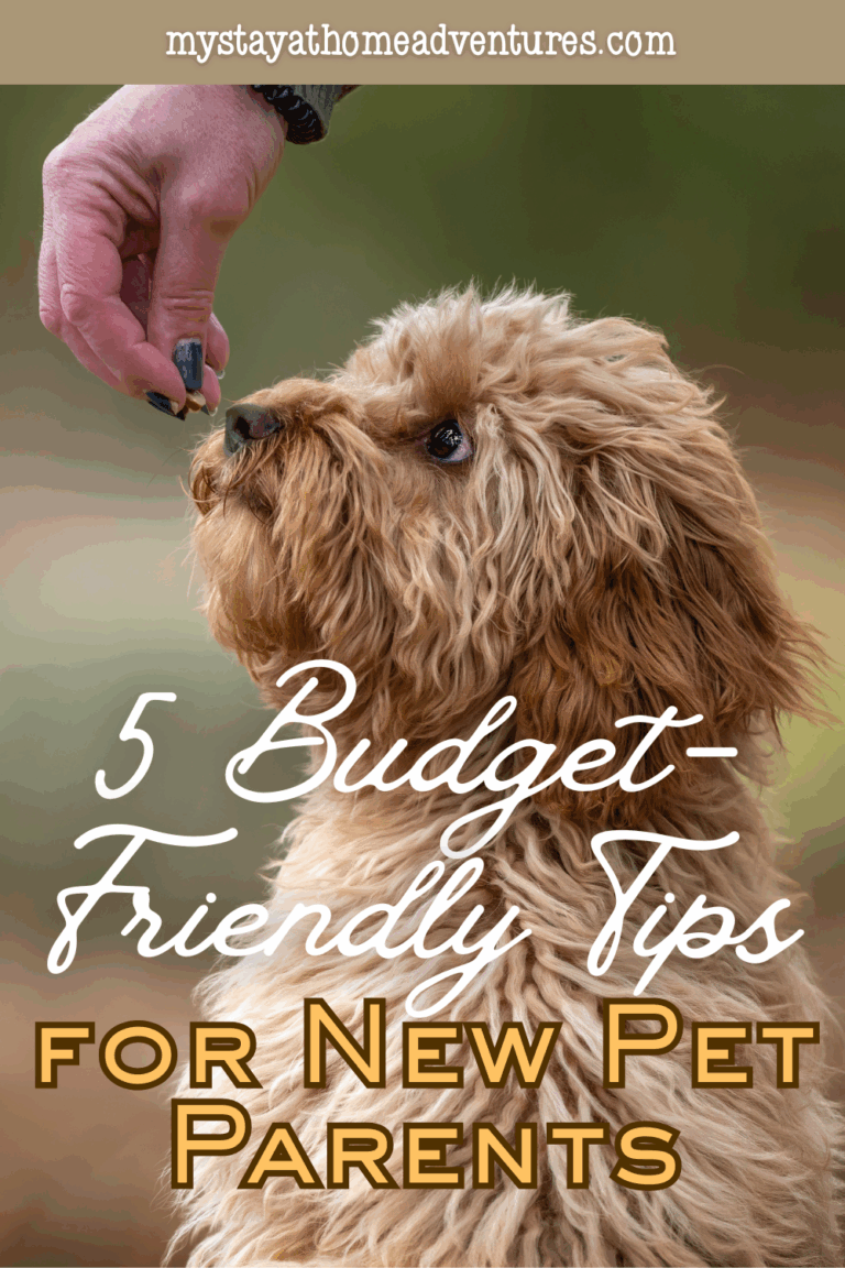 5 Budget-Friendly Tips for New Pet Parents * My Stay At Home Adventures