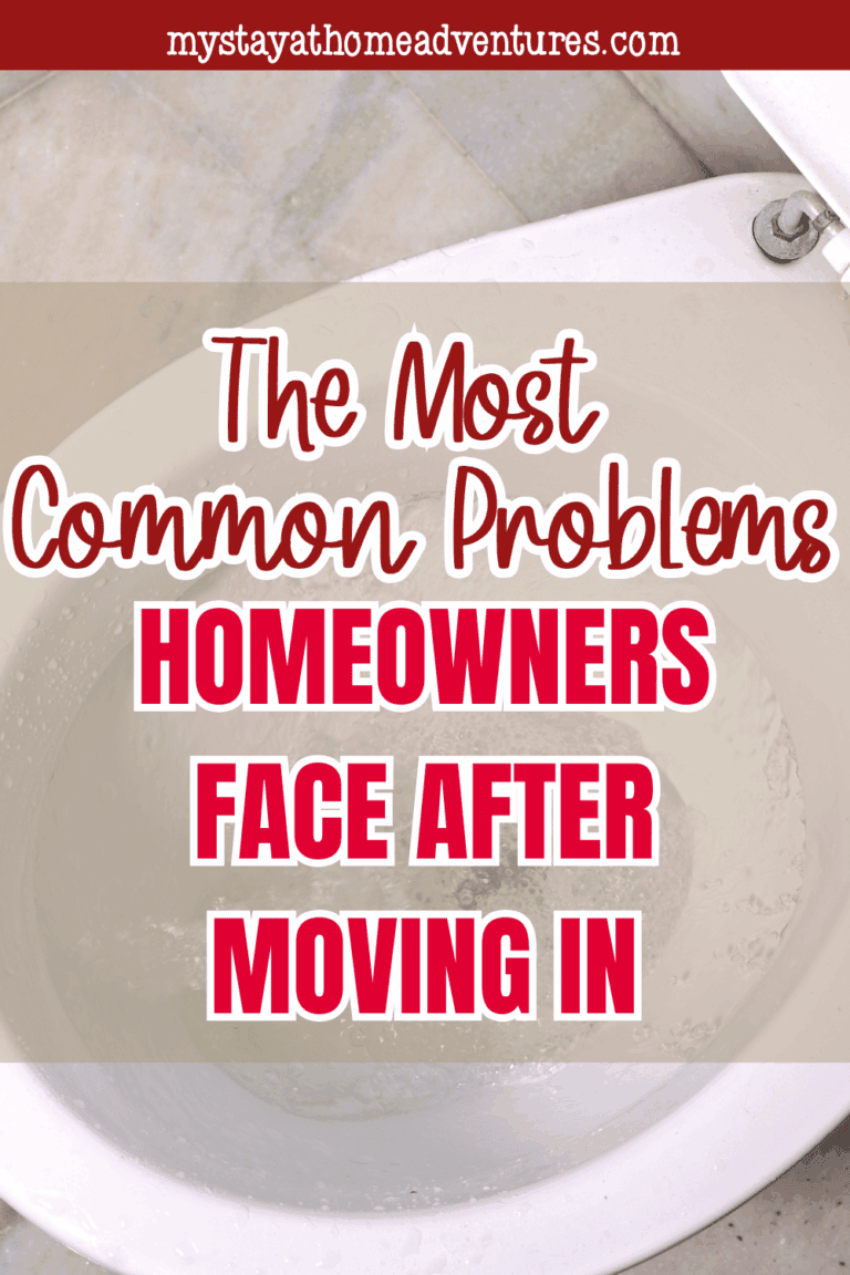 The Most Common Problems Homeowners Face After Moving In * My Stay At ...