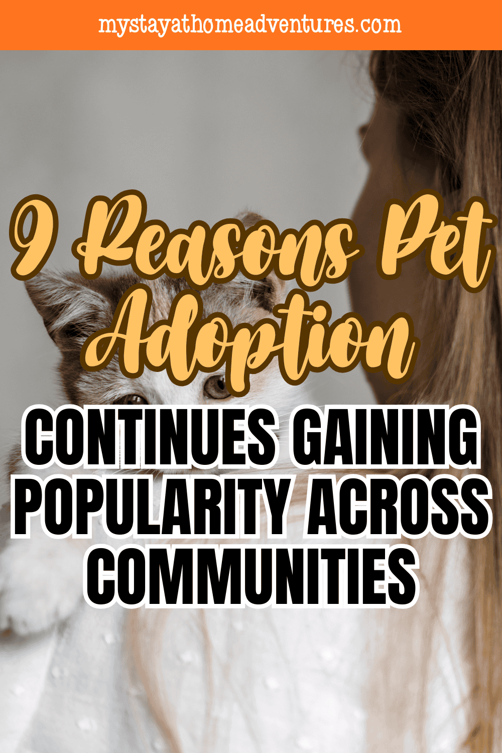 9 Reasons Pet Adoption Continues Gaining Popularity Across Communities ...