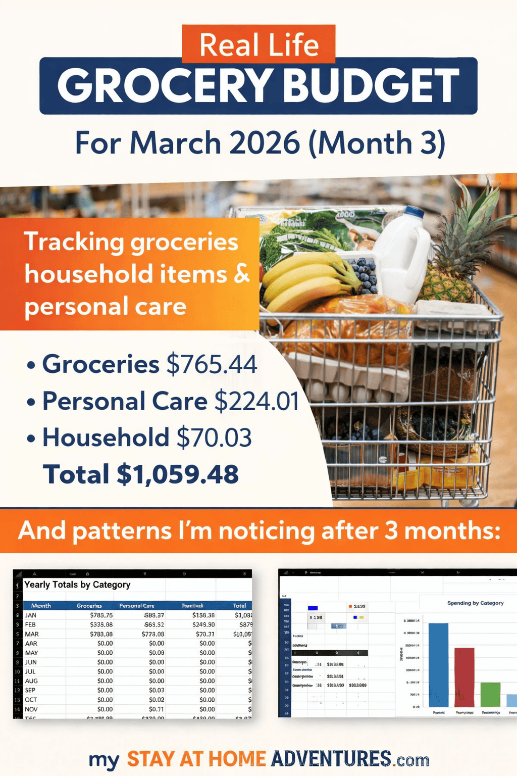 Real Life Grocery Budget for March 2026 (Month 3)